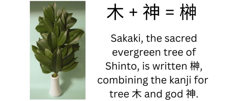 Shichi-Go-San — The Day Of Happy Shrine Visits For 7, 5, And 3 Year Olds