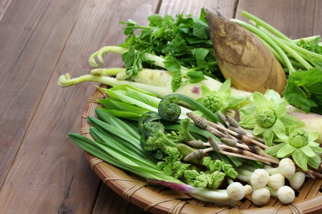 Sansai—6 Helpful Herbs That Herald Spring