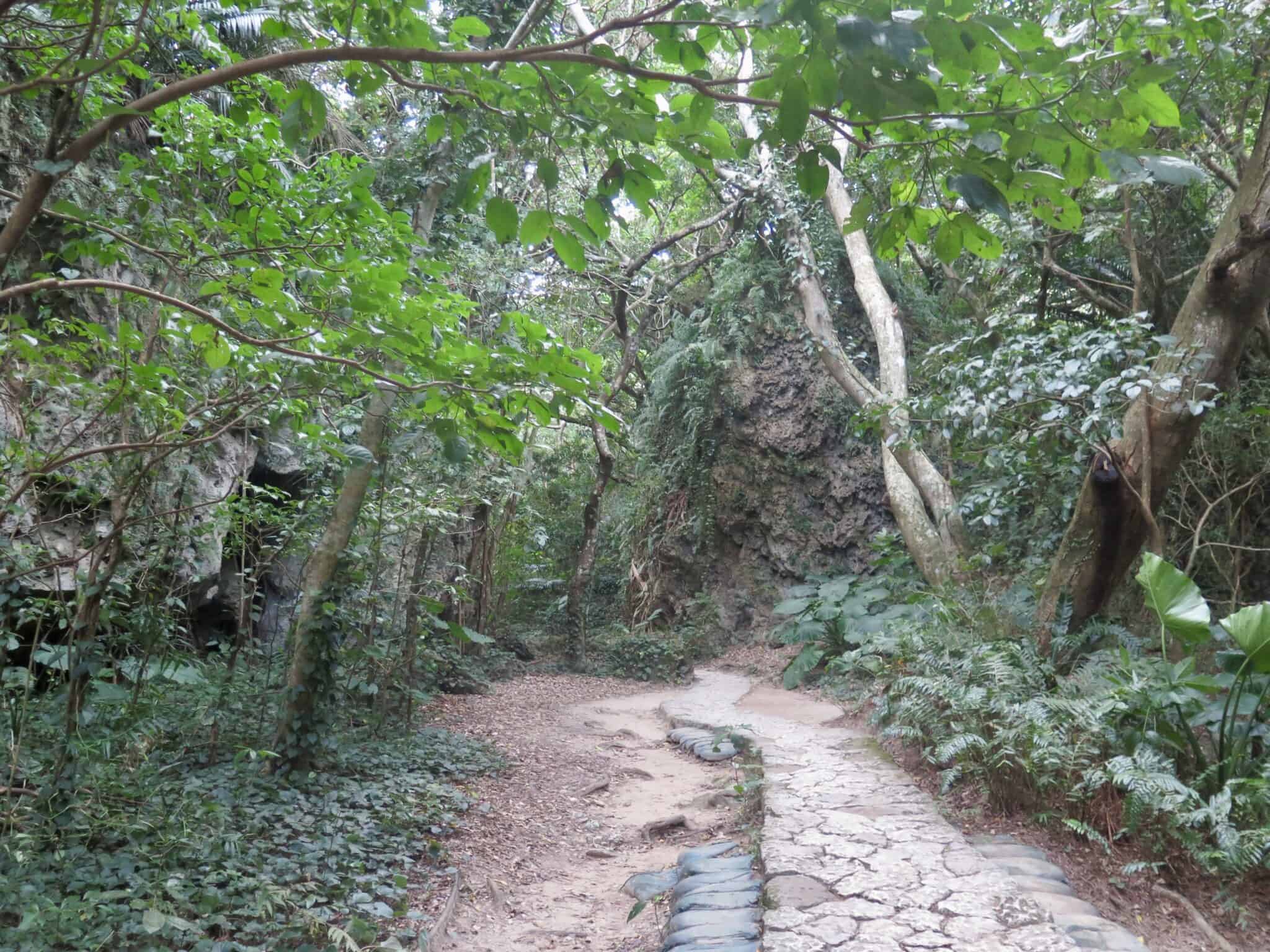 Okinawa—A Deep Dive Into The Tragic History Of The Ryukyu Kingdom